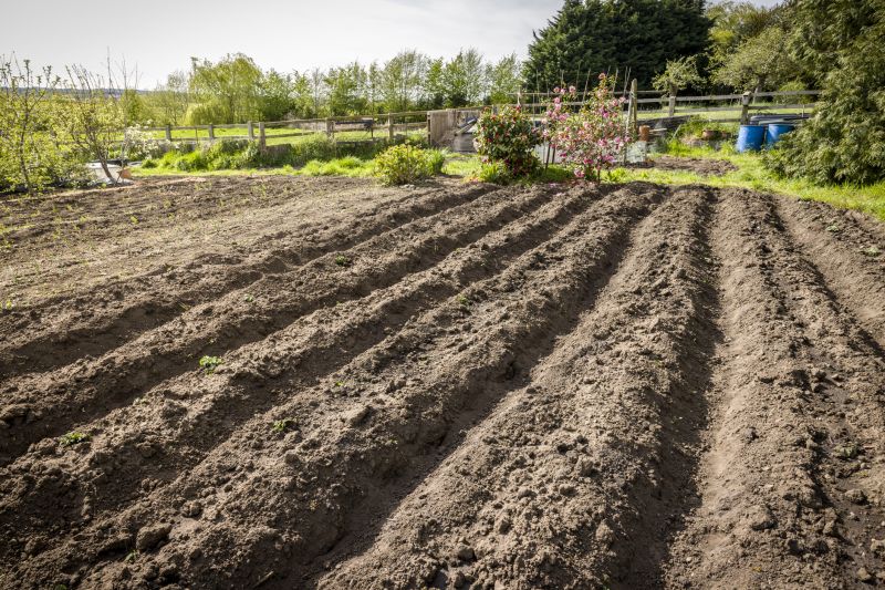 Expert Garden Tilling for Healthier Soil and Vibrant Plants